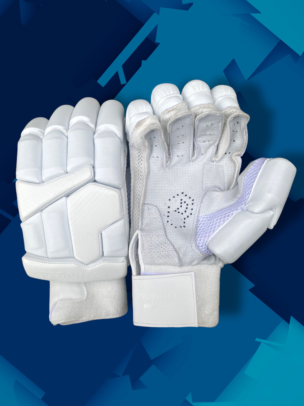 Prophecy Batting Gloves – Cricket Pavilion